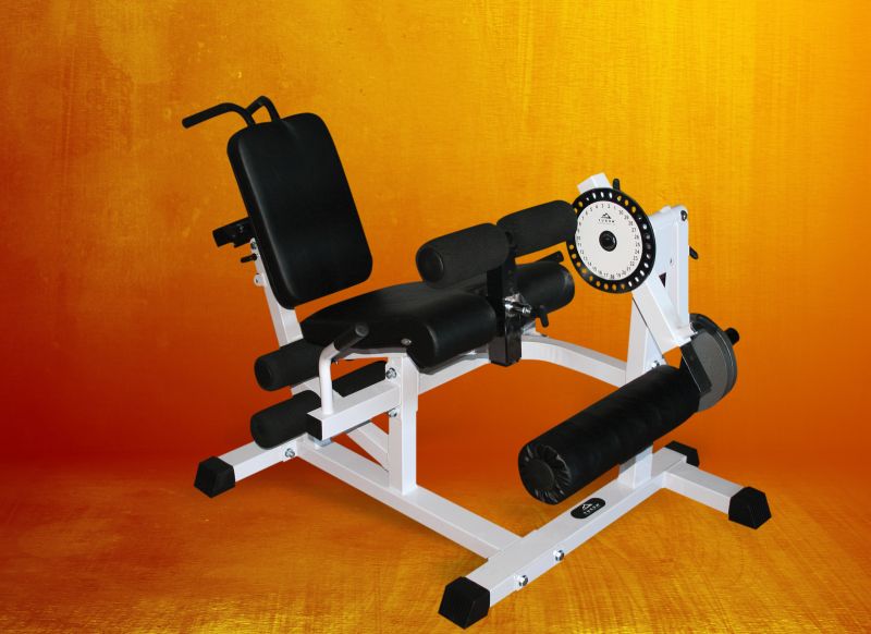Leg and Core Machine – YukonFitness