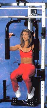 Pec Dec Attachment – YukonFitness